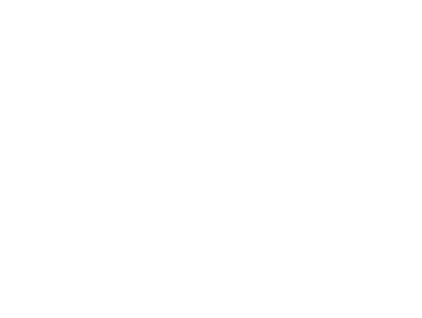 MiniVision2+ - Kapsys